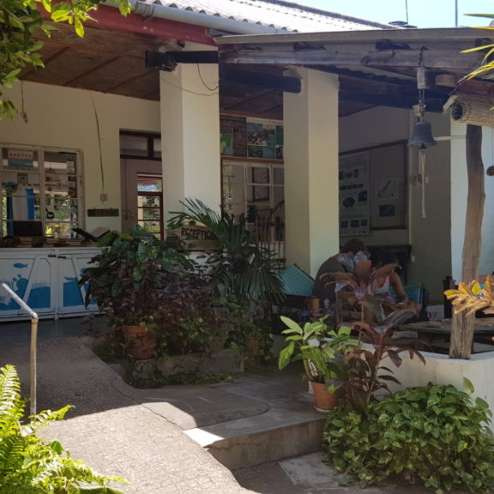 STAY AT MWAMBA - A Rocha Kenya