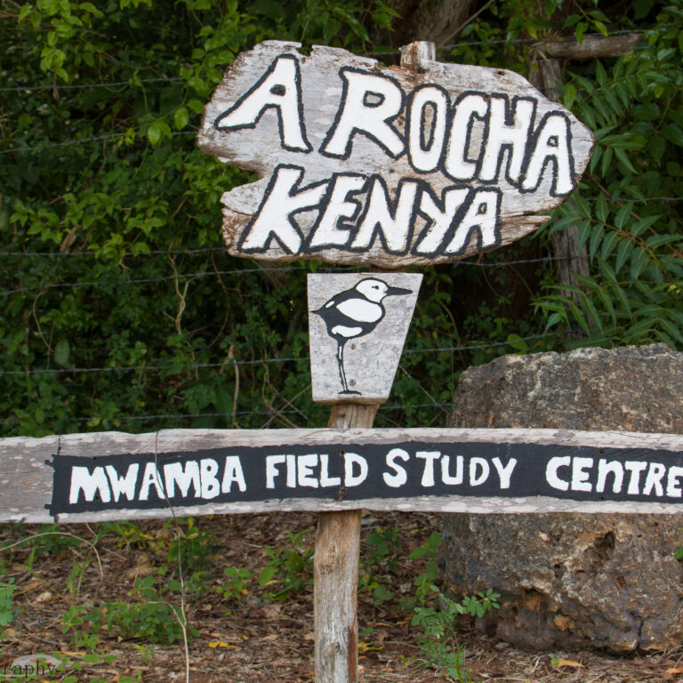 STAY AT MWAMBA - A Rocha Kenya