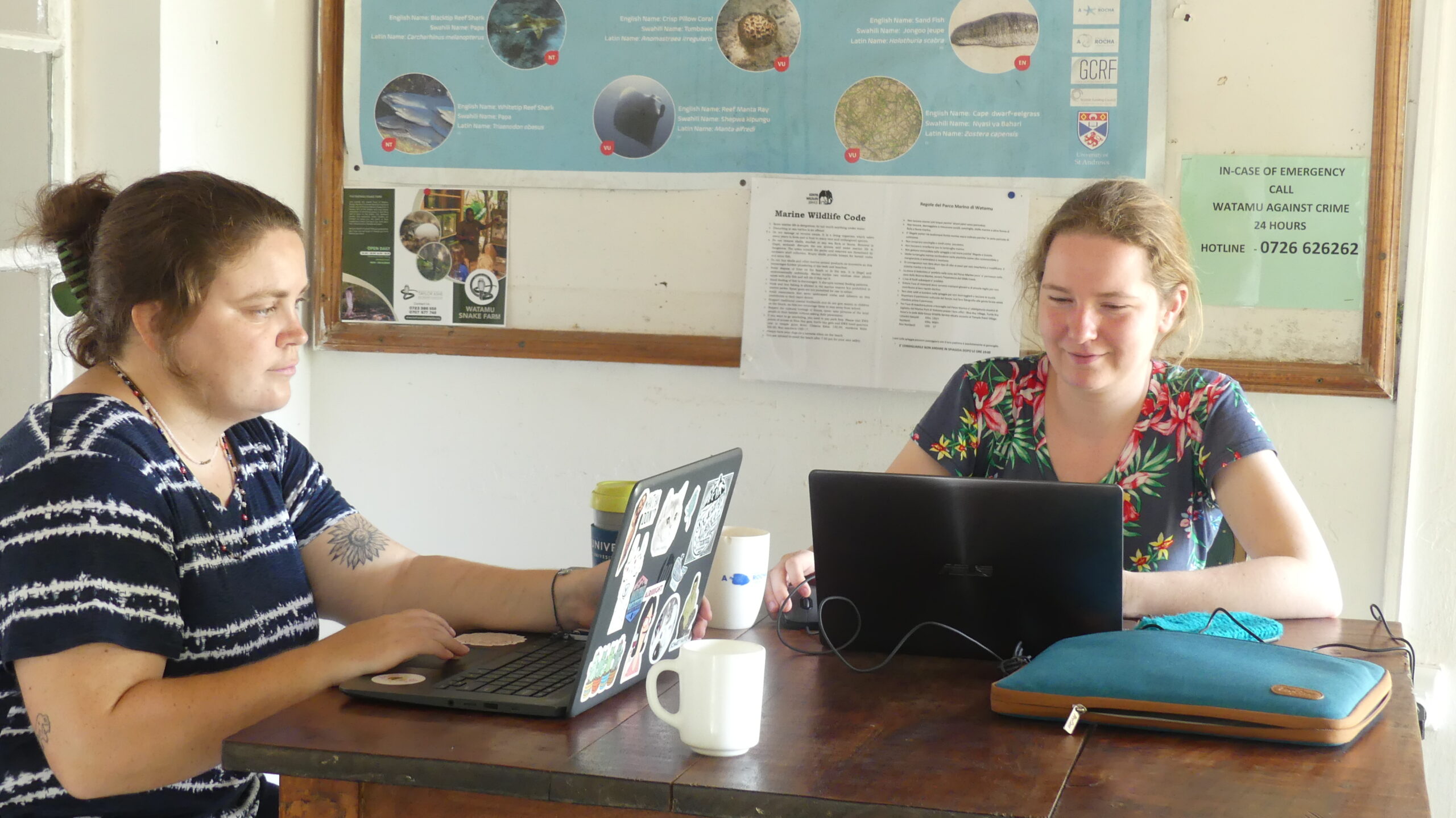 Home - A Rocha Kenya